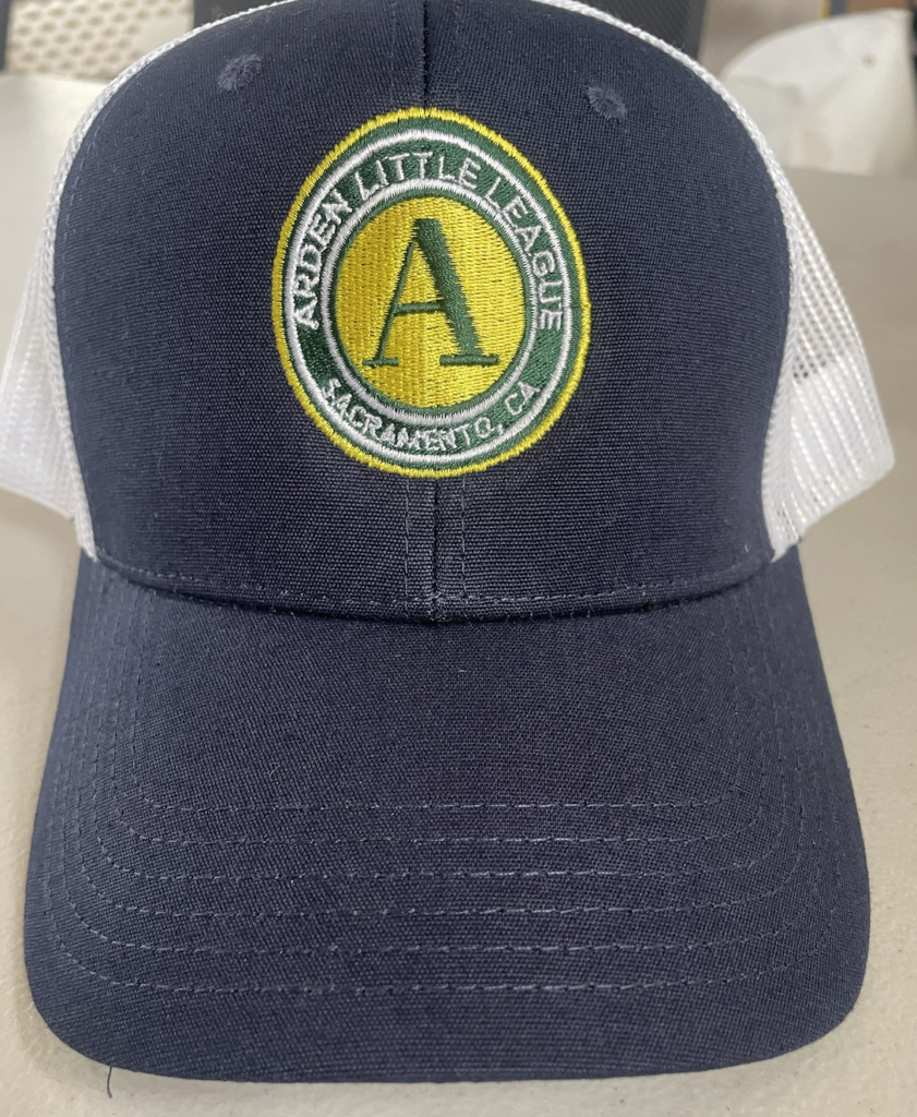 All The Important Things — Arden Little League
